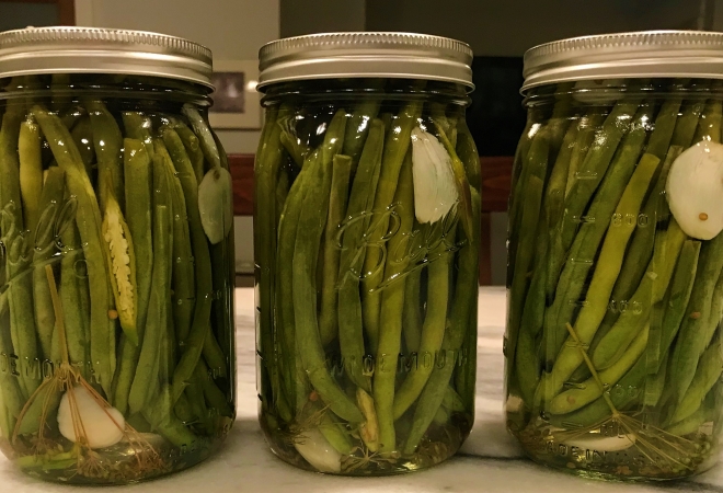 Dilly Beans – Pickled Green Beans – Max's Kitchen and Garden